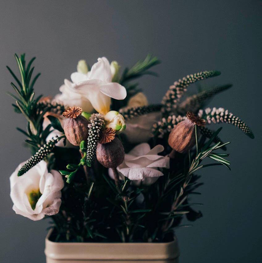 Esquelas en Tanatorio de Allo – Izarra - Defunciones hoy